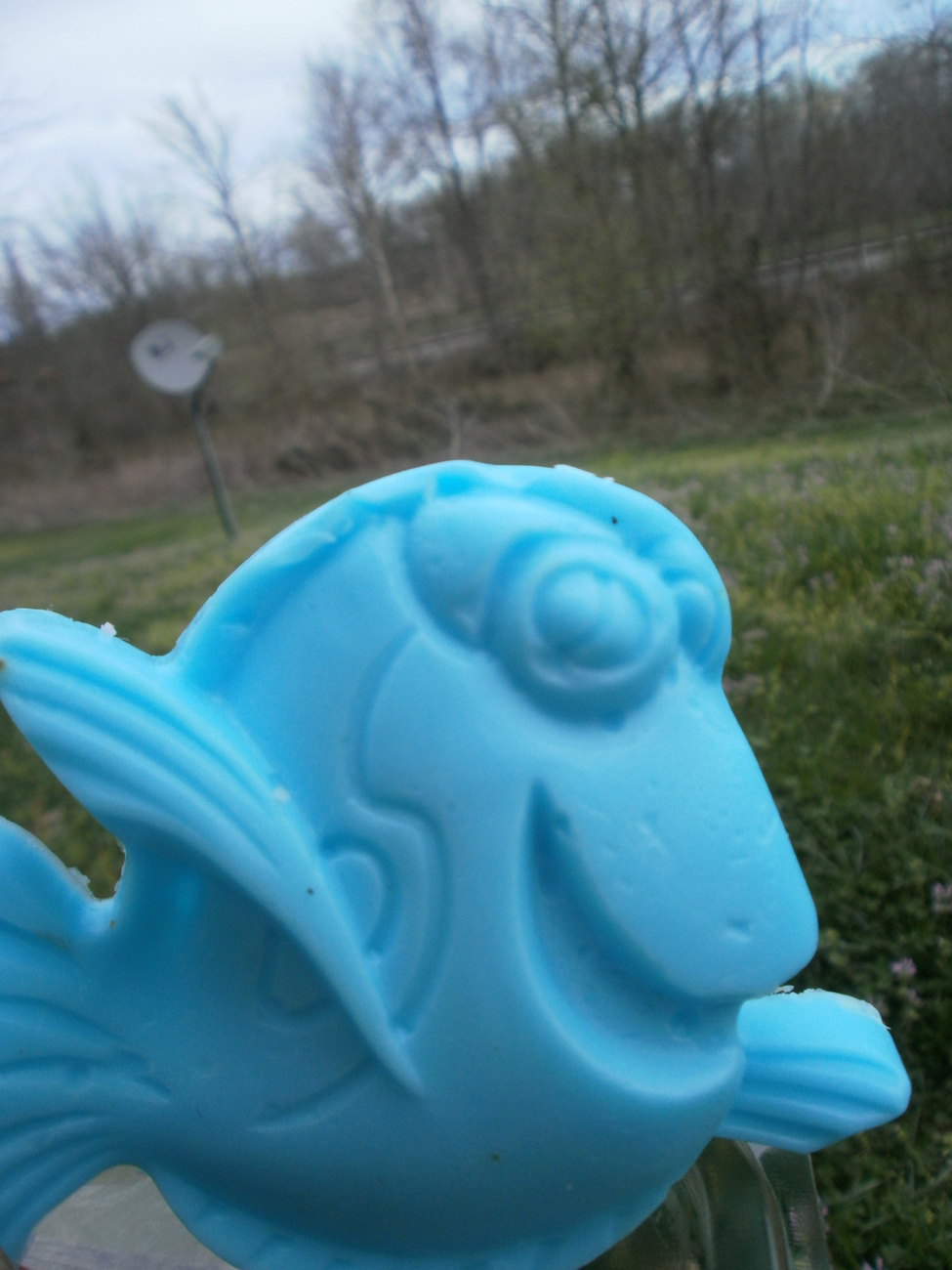 Dory The Fish Soap, Dory Soap, Kids Soap, Handmade Soap, Beauty, Gifts ...